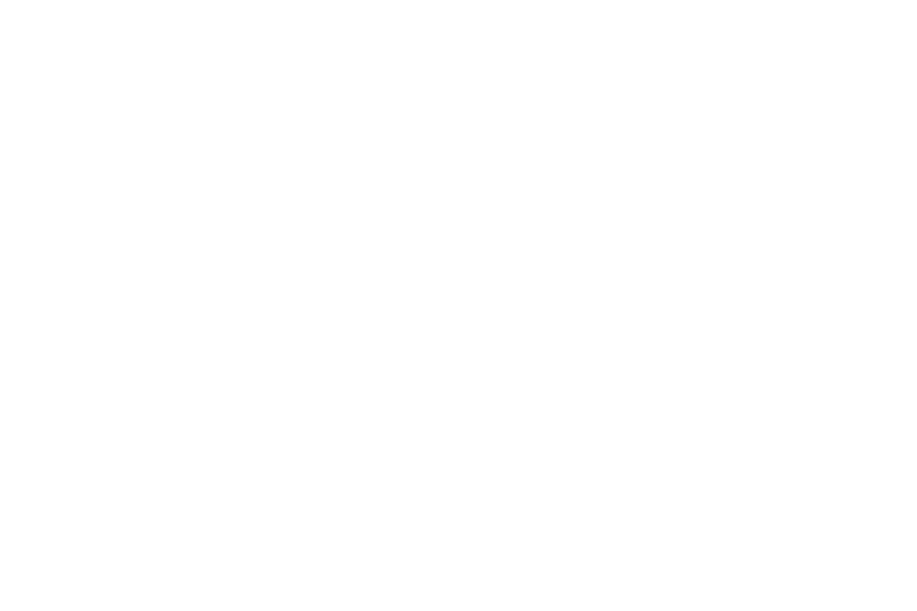 Albert Einstein 1879 - 1955 • Digital Handwriting Font Library
