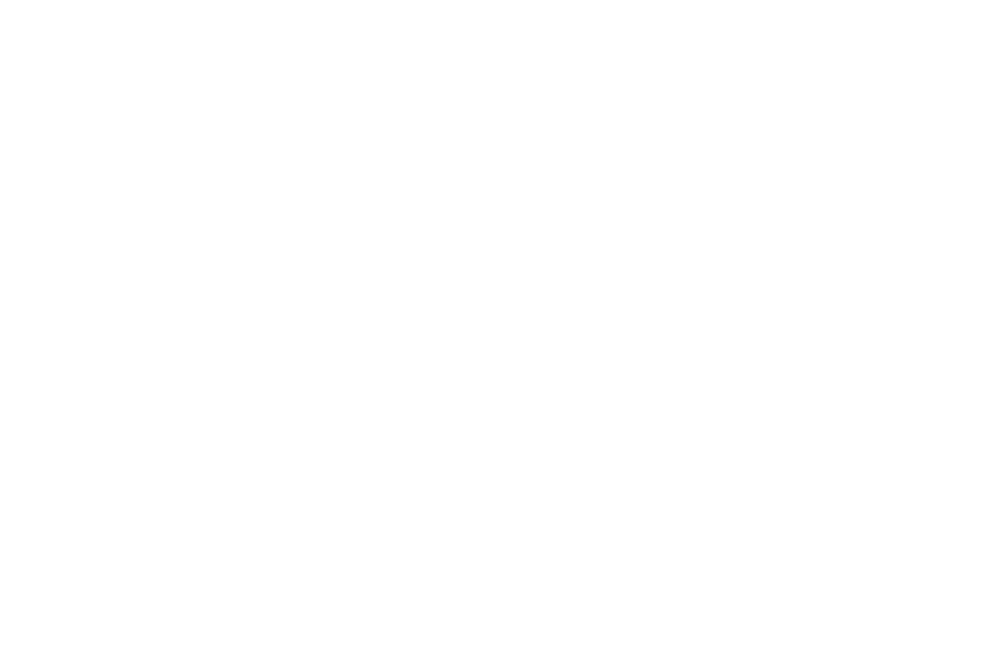 Albert Einstein 1879 - 1955 • Digital Handwriting Font Library